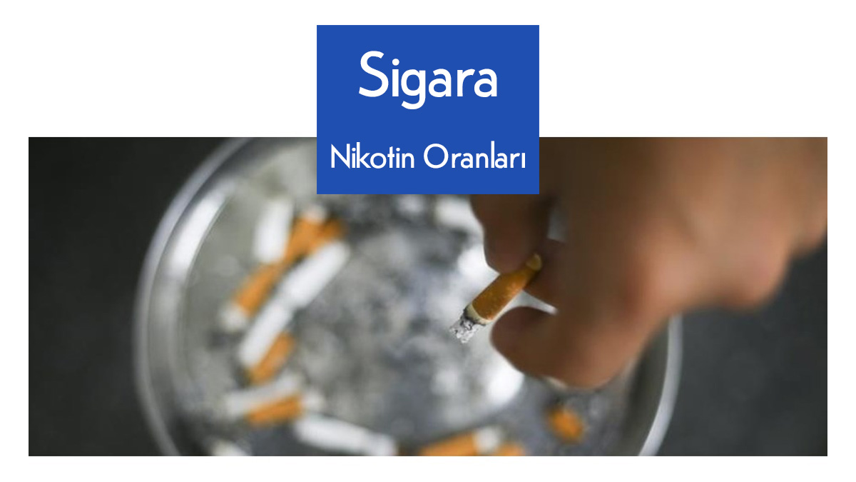 Sigara Nikotin Oranları 2024 – Bildirimlerim